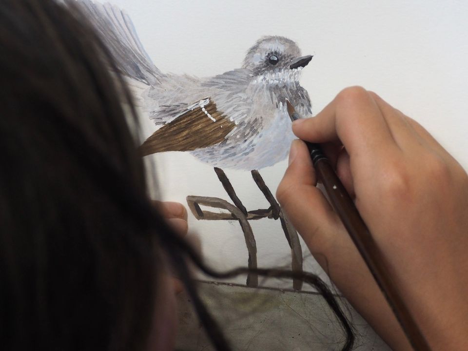 The Art of Birds, Eric Singleton Bird Sanctuary, Bayswater, Perth, 11 ...