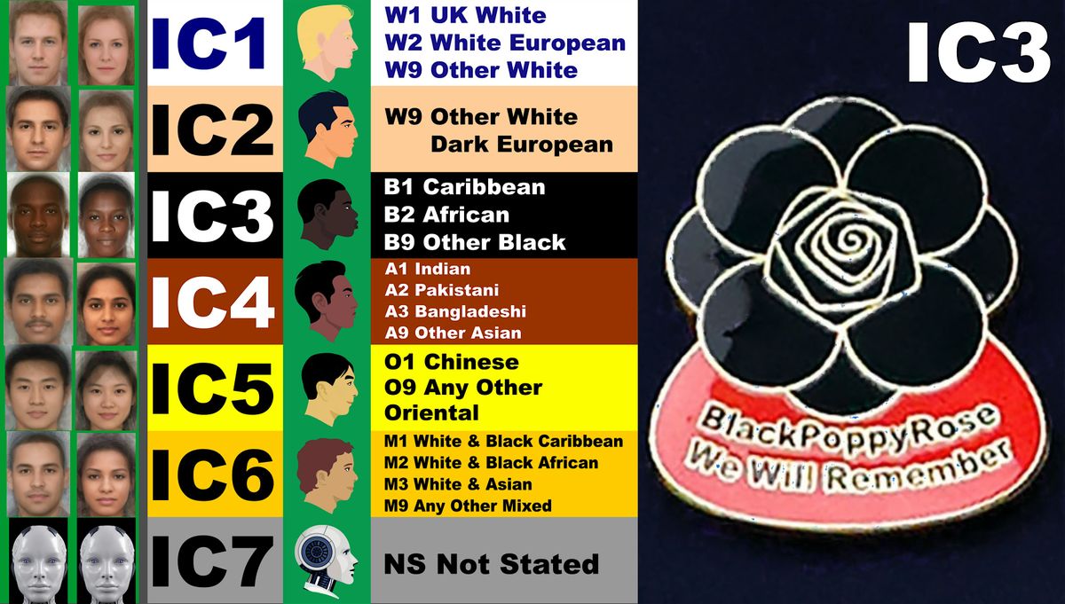 REPARATIONS WAR MEMORIAL TOTTENHAM BLACK POPPY ROSE, Tottenham War ...