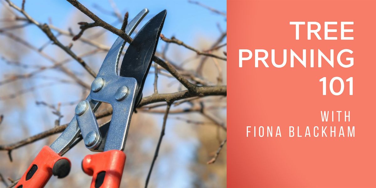 Tree Pruning 101, Piney Lakes Environmental Education Centre, Winthrop ...