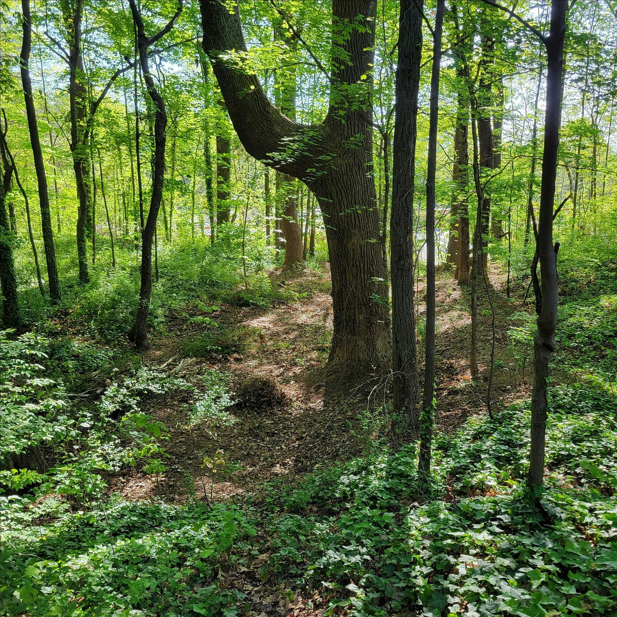 Green Burial Presentation, 1465 Irving St, Winston-Salem, 2 May 2024 ...