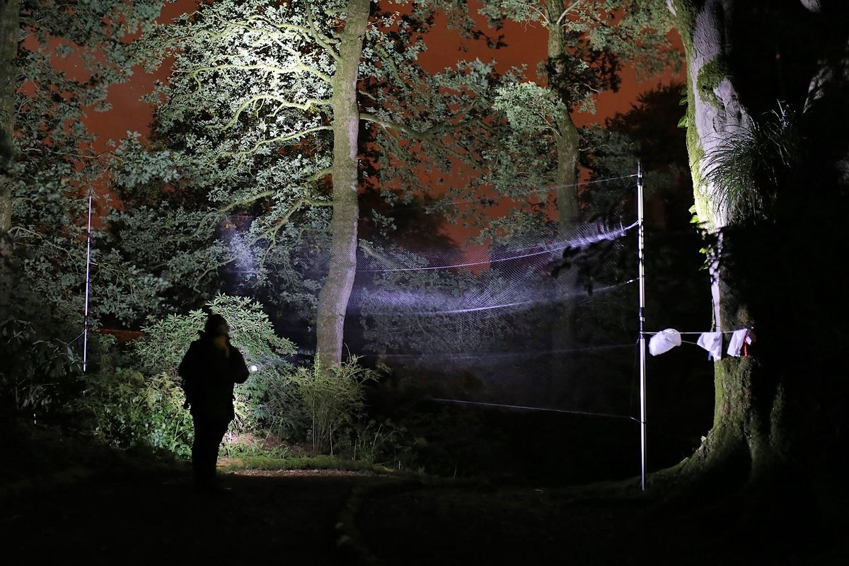 Mist Netting & Ultrasonic Lures, Threave Garden, Castle Douglas, 7 ...