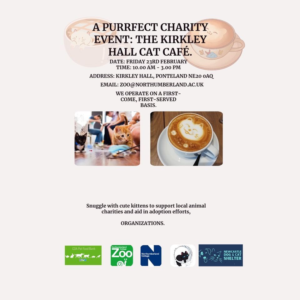 Kirkley Hall Cat Cafe - One Day Only , Kirkley Hall, Newcastle upon ...