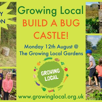 Growing Local BUILD A BUG CASTLE (Family) Workshop, Belmont Wanderers ...