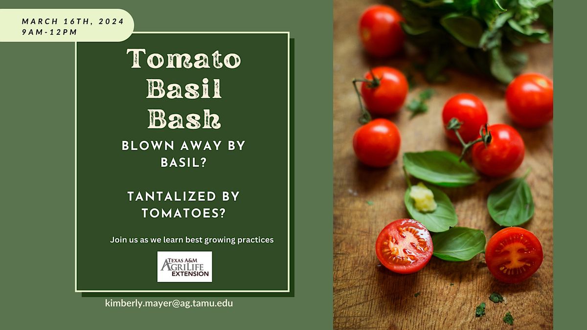 Tomato Basil Bash, 21017 County Rd 171, Angleton, 16 March 2024 ...