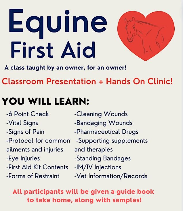 Equine First Aid (KDH BOARDERS ONLY), Kira's Dream Horses, Chandler, 6 ...