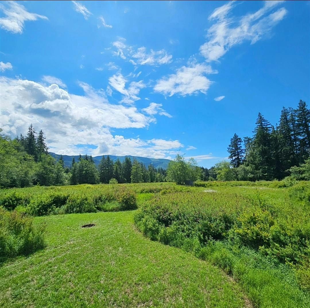 Queer Summer Camp, A&K Alder Farm, Sedro-Woolley, 16 August to 18 ...