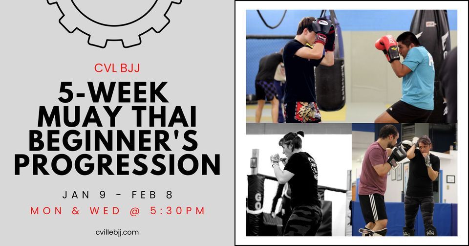 5 Week Muay Thai Beginners Progression: Jan 9 - Feb 8, Charlottesville ...