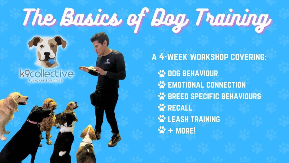 The Basics of Dog Training: A 4-week Workshop by K9 Collective, K9 ...