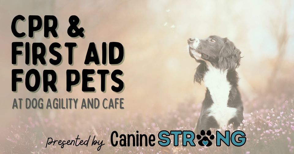CPR & First Aid For Pets (OFF-SITE Workshop), 1328 Hooksett Rd, Suite ... CPR & First Aid For Pets (OFF-SITE Workshop), 1328 Hooksett Rd, Suite ...