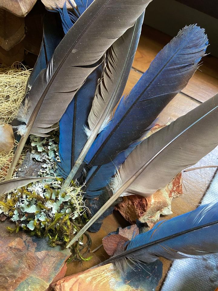 UUSM WORSHIP: Playing with Fire, Unitarian Universalists of San Mateo ...