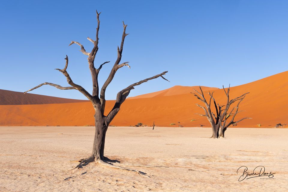 Africa Safari Photo talk with Bruce Danz & Brent Balken, Photo Opp ...