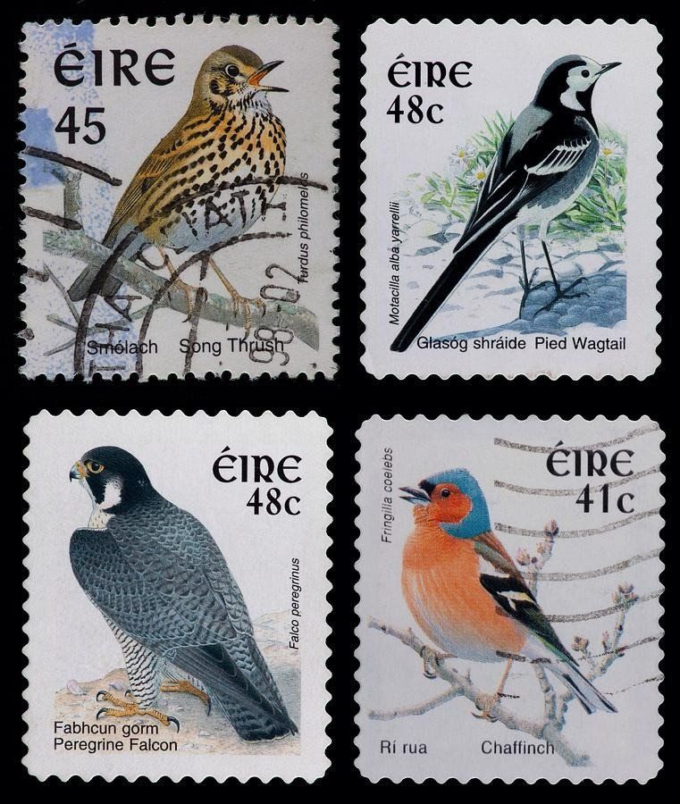 The Folklore of Irish Birds- Part One, Belfast Window on Wildlife ...