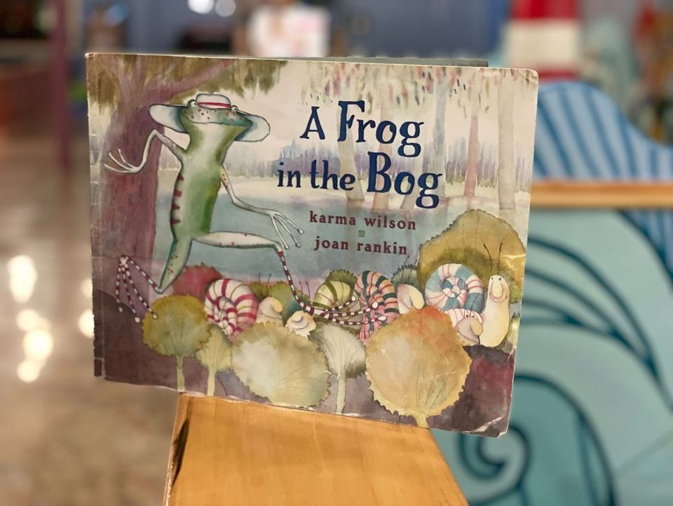 Shadow Puppet Theatre-A Frog in the Bog, The Woodlands Children's ...