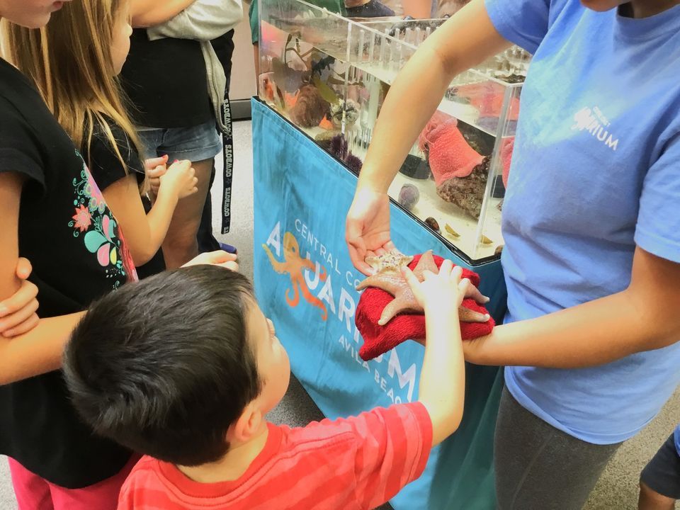 Central Coast Aquarium Touch Tanks, Arroyo Grande Library, 2 March 2024 ...