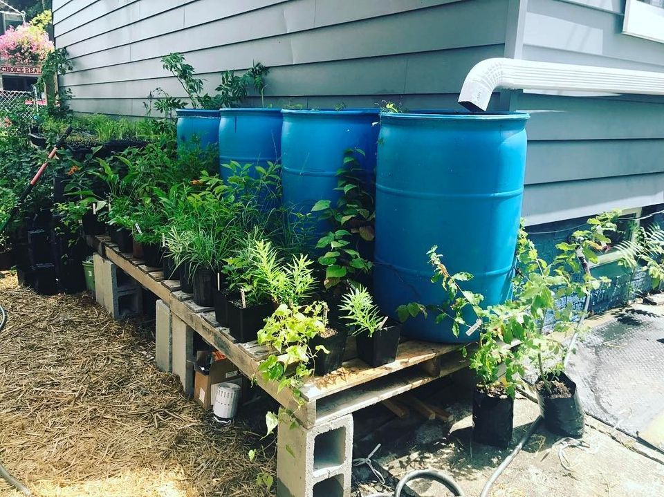 Rain Barrel 101 (+build and take home a rain barrel) with Sergei ...