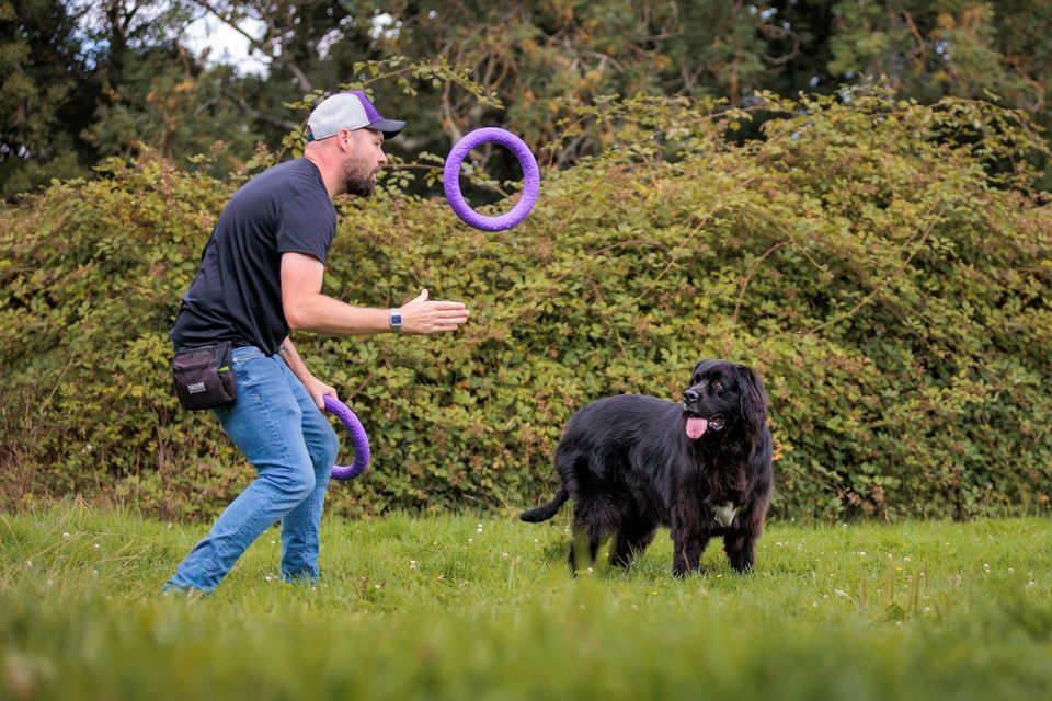 Silver Life Skills, Goodall Dog Training, Southampton, 10 February 2024 ...