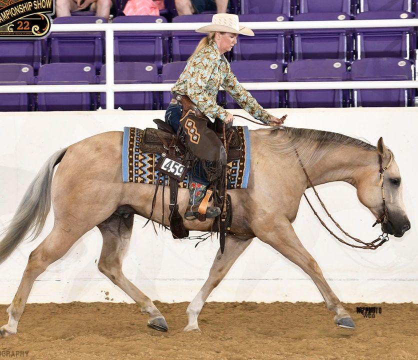 Ranch Horse Pleasure
