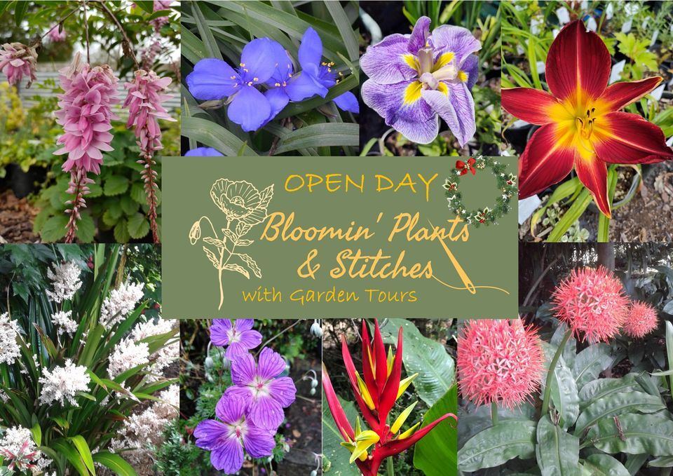Bloomin Plants and Stitches Christmas Open Day - Saturday 16 December ...