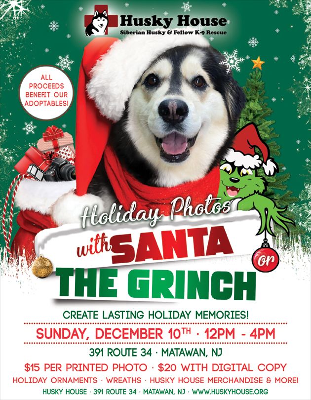 Husky House Holiday Photos with Santa or the Grinch, Husky House ...
