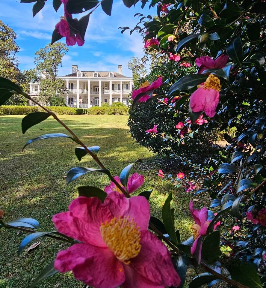 Camellia Workshop with Wiregrass Camellia Society, Pebble Hill ...