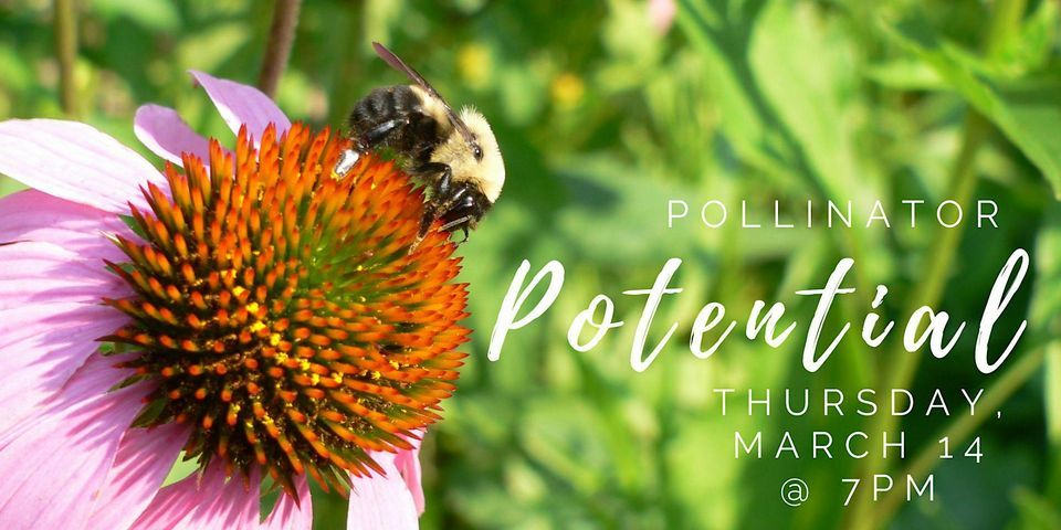 Pollinator Potential, 115 Ferry Road,Charlotte,05445,US, 14 March 2024 ...