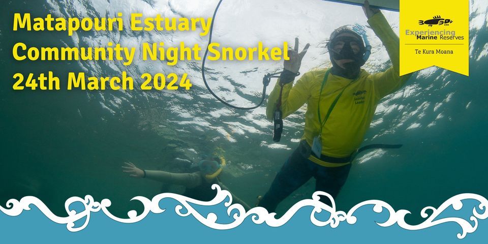 Matapouri Night snorkel, Matapouri Beach, Whangarei, March 24 2024 ...