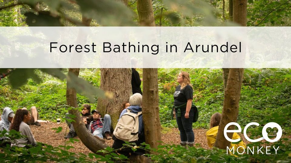 Forest bathing in Arundel, Arundel, 29 May 2023 | AllEvents.in