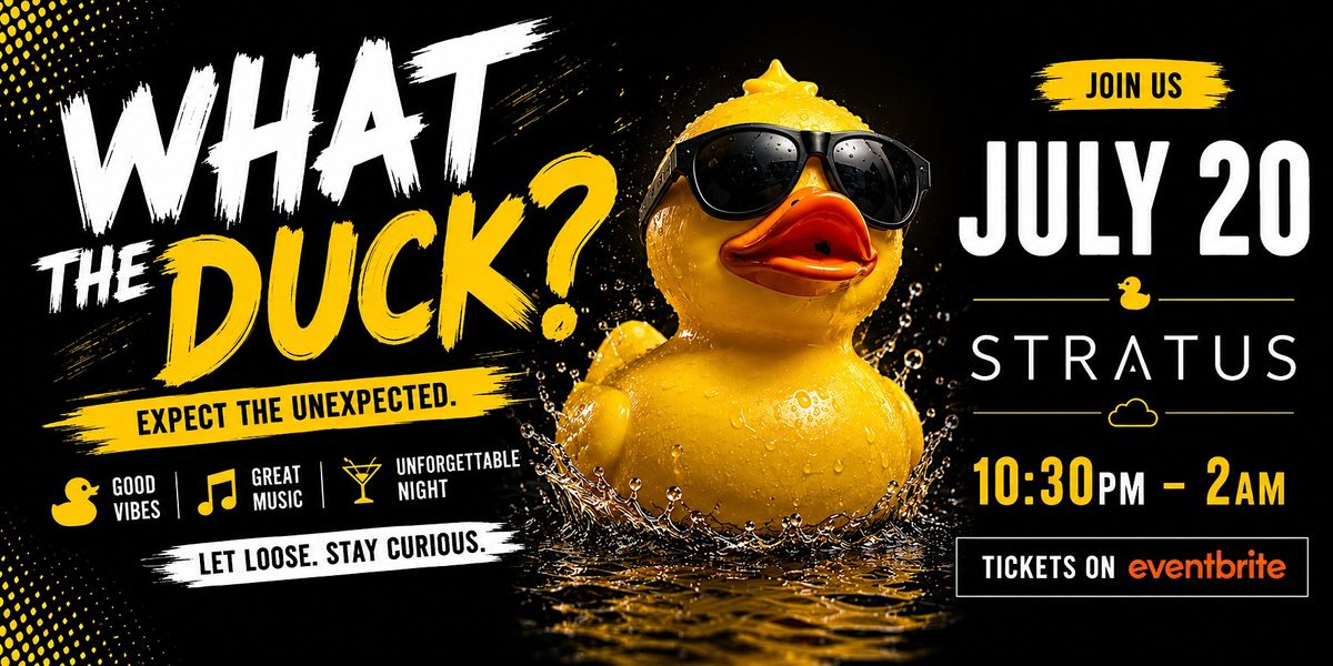 DISCO HOUSE EXTRAVAGANZA featuring WHAT THE DUCK? on the rooftop ...