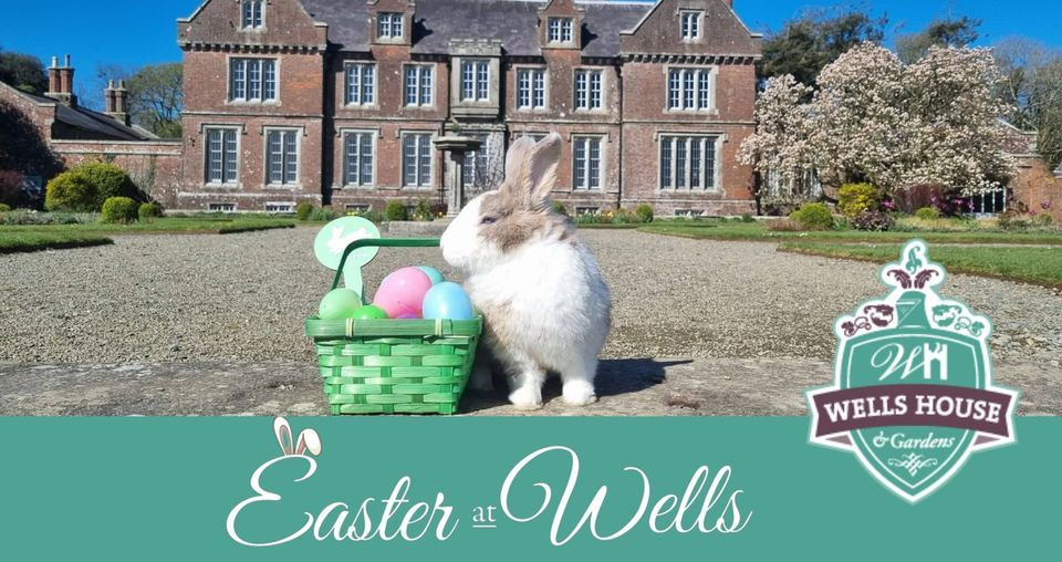 Easter Sunday Traditional Egg Hunt , Wells House & Gardens, Gorey ...