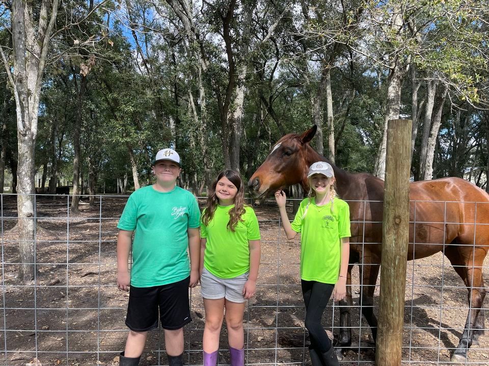 Farm Work Day for Teens, Tree House Farm, New Port Richey, 26 February 2024 | AllEvents.in