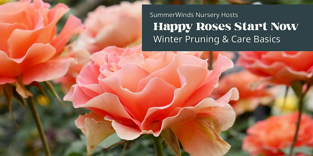 Happy Roses Start Now: Winter Pruning & Care Basics - Dublin ...