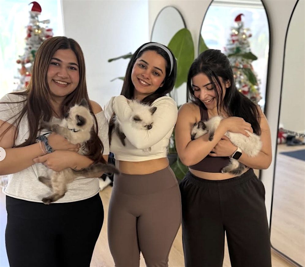 Kitten Yoga, Pawra Yoga, Port Melbourne, 7 February 2026 | AllEvents