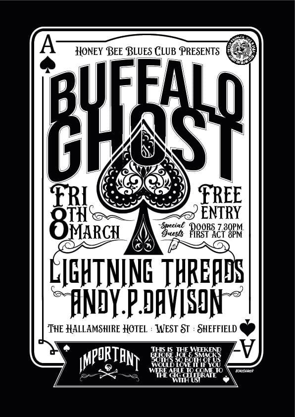 Buffalo Ghost + Lightning Threads + Andy P Davison, Hallamshire Hotel ...