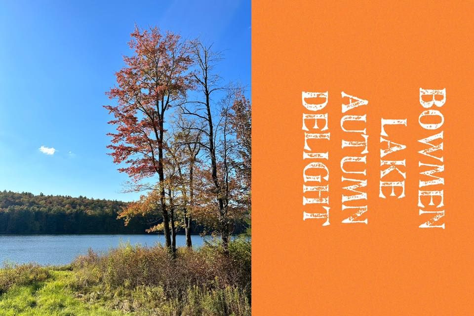 Painting from Photography Reference: Bowman Lake Autumn Delight with ...