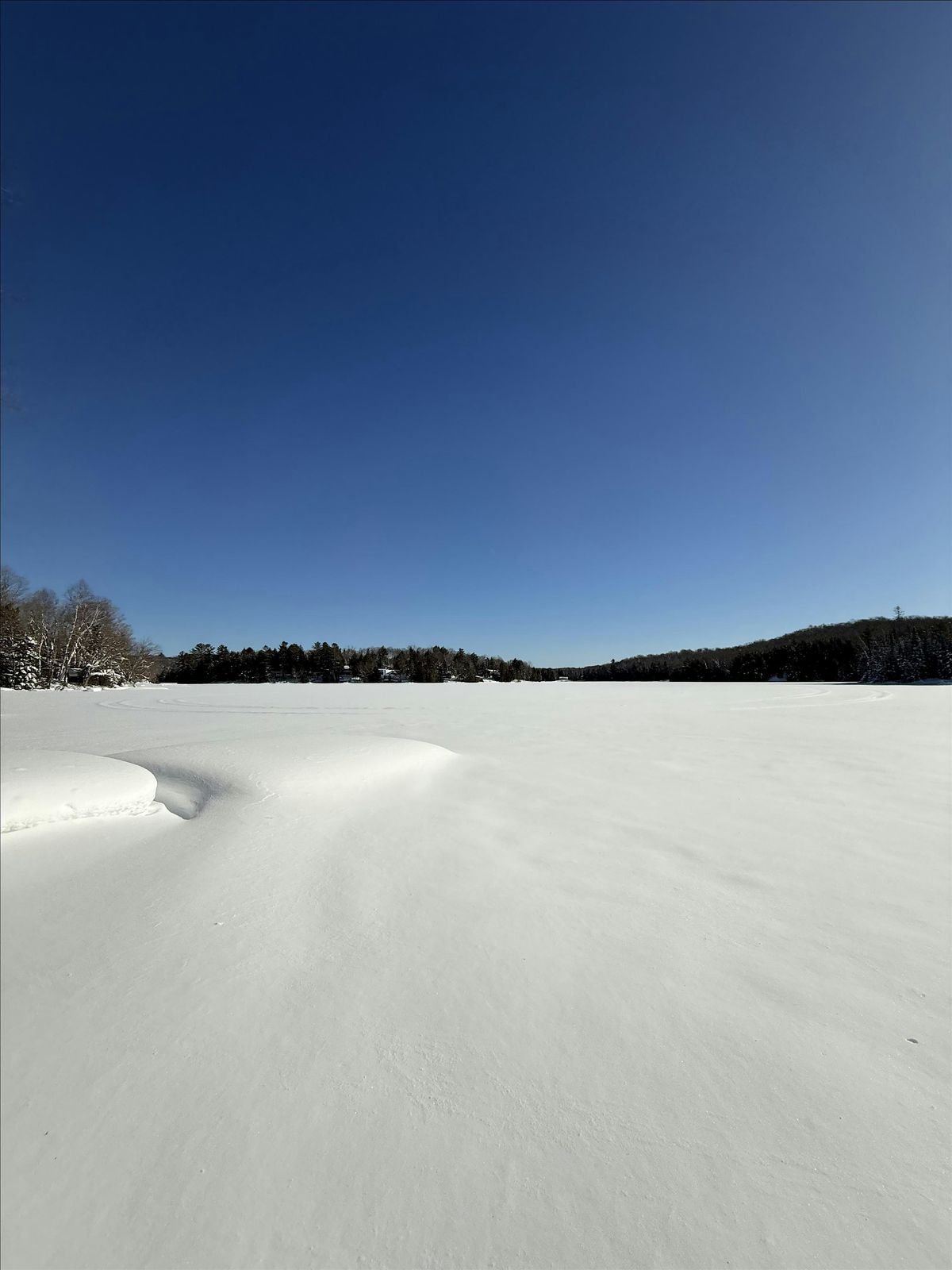 Forest Bathing Walk, High Park Forest School, Toronto, 7 February 2026 ...