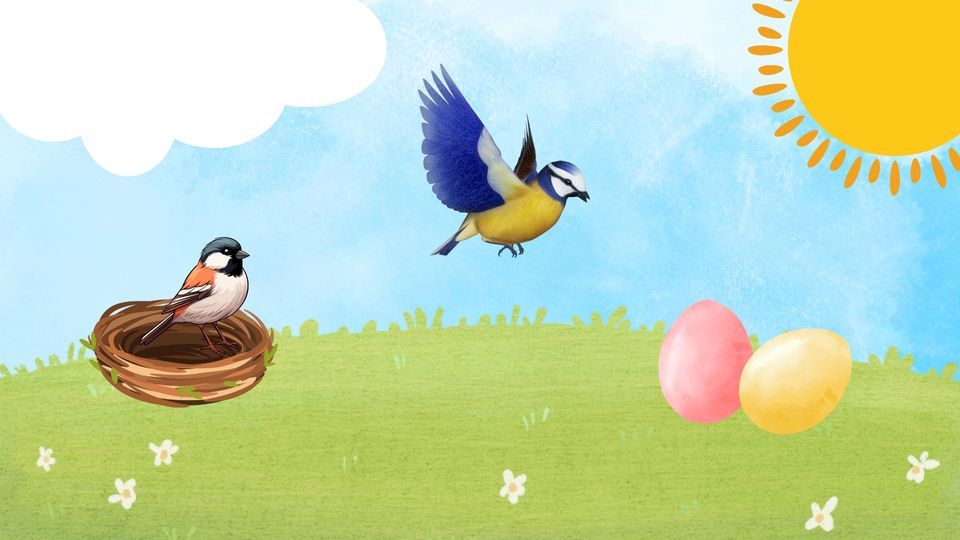 Feathered Adventures - Easter Holiday Activity, Shropshire Hills ...