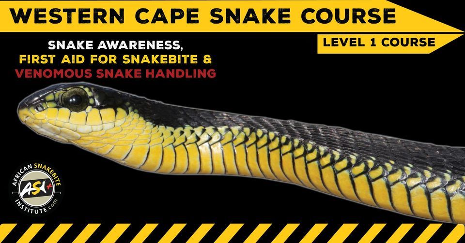 Snake Awareness First aid for Snakebite, Venomous Snake Handling ...