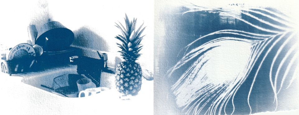 STEM+ Art Workshop: Cyanotypes and Scientific Illustrations, Atlas ...