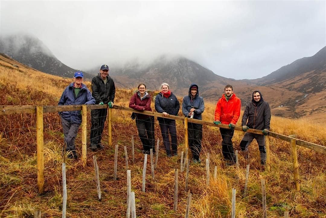Volunteer day - Tree seed islands in Glen Rosa, Glen Rosa, Isle of ...