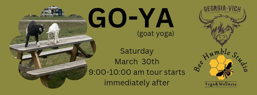 GO-YA (goat yoga), Georgia-Vich Farm and Rescue, Dallas, 30 March 2024 ...