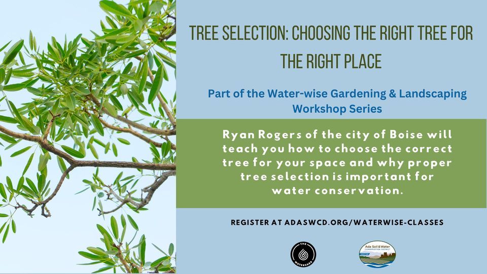 Tree Selection: Choosing the Right Tree for the Right Place, Library ...