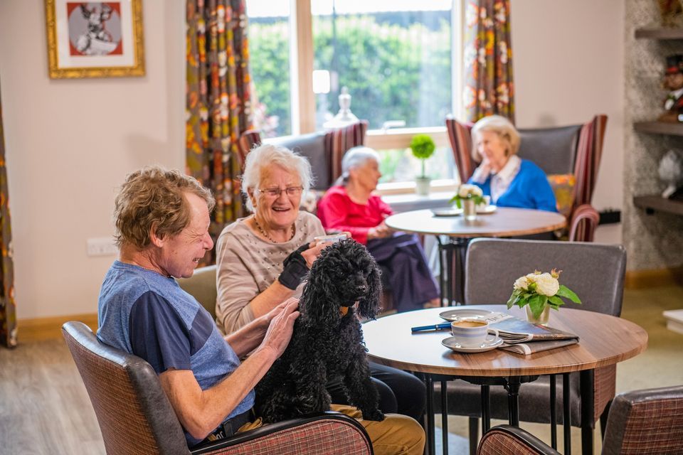 Canine cafe , Abney Hall Park, Manchester Road, Cheadle SK8 2PD ...