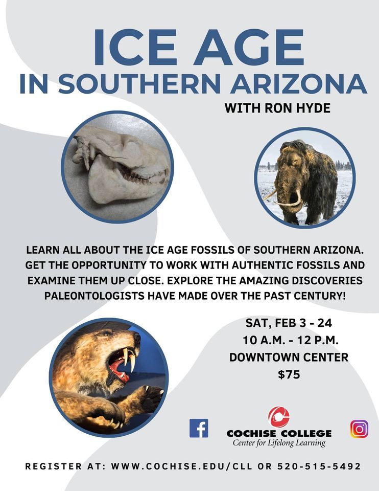 The Ice Age in Southern Arizona, 2600 E Wilcox Dr, Sierra Vista, AZ ...