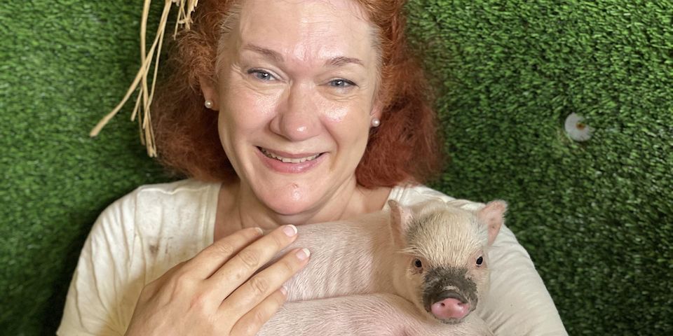 Baby Goats Snuggle, Piglets Social, Farm Animals Feeding, Ranch Tours ...