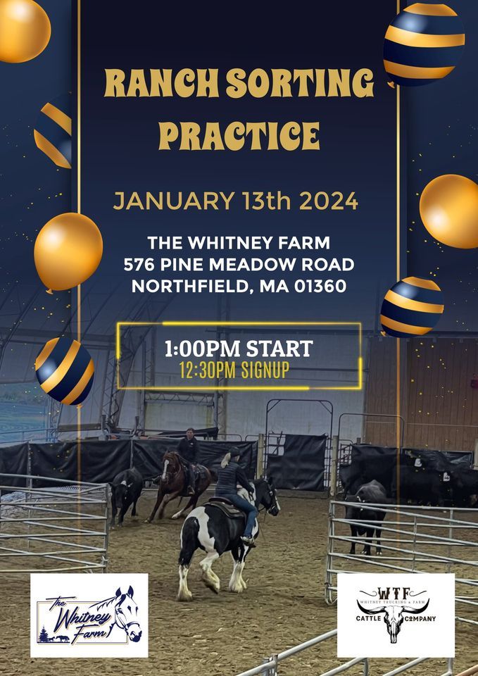 Ranch Sorting Practice, The Whitney Farm, Northfield, January 13 2024 | AllEvents.in