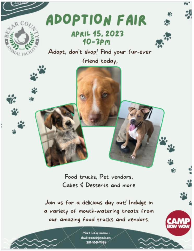 Bexar County Animal Care Adoption Fair, Camp Bow Wow Live Oak, 15 April ...