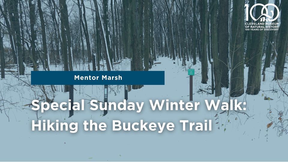 Special Sunday Winter Walk: Hiking the Buckeye Trail, Mentor Marsh ...