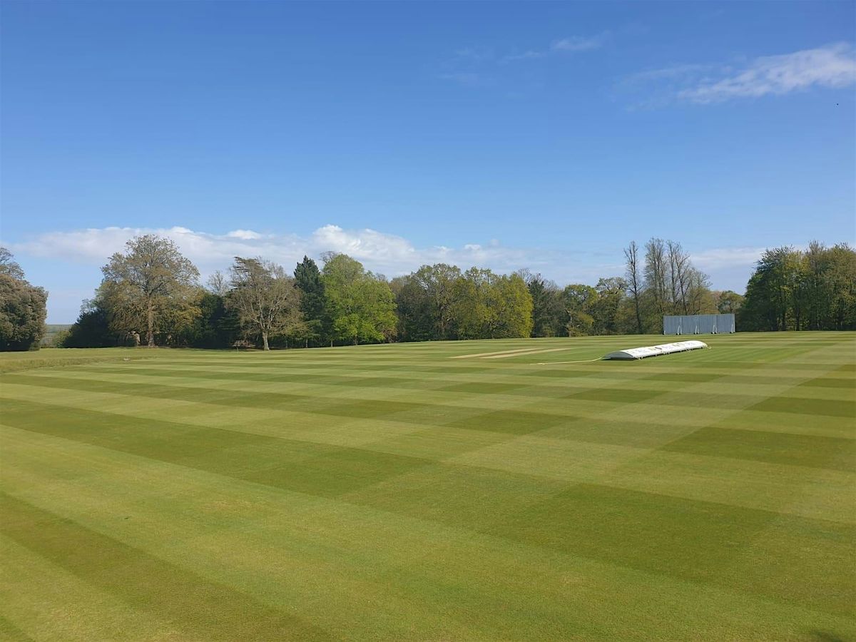 Australia Women versus South Africa Women T20, Arundel Castle Cricket ...