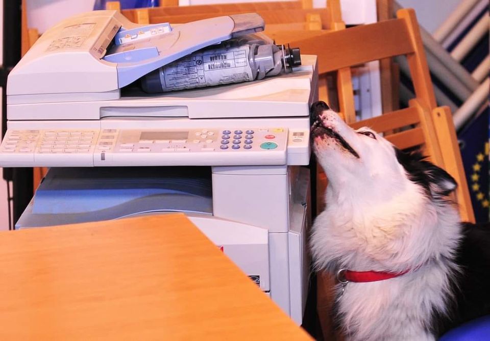 NW proljetna tekma, Kossp Zagreb, 15 April | AllEvents