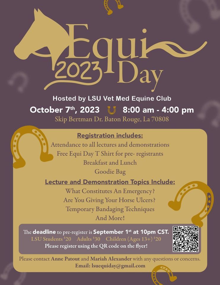 Equi-Day: Dr. Rachel presenting on Disaster Preparedness, LSU School of ...